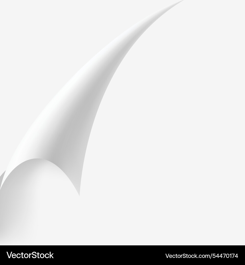 Curled white paper corner on clean background Vector Image