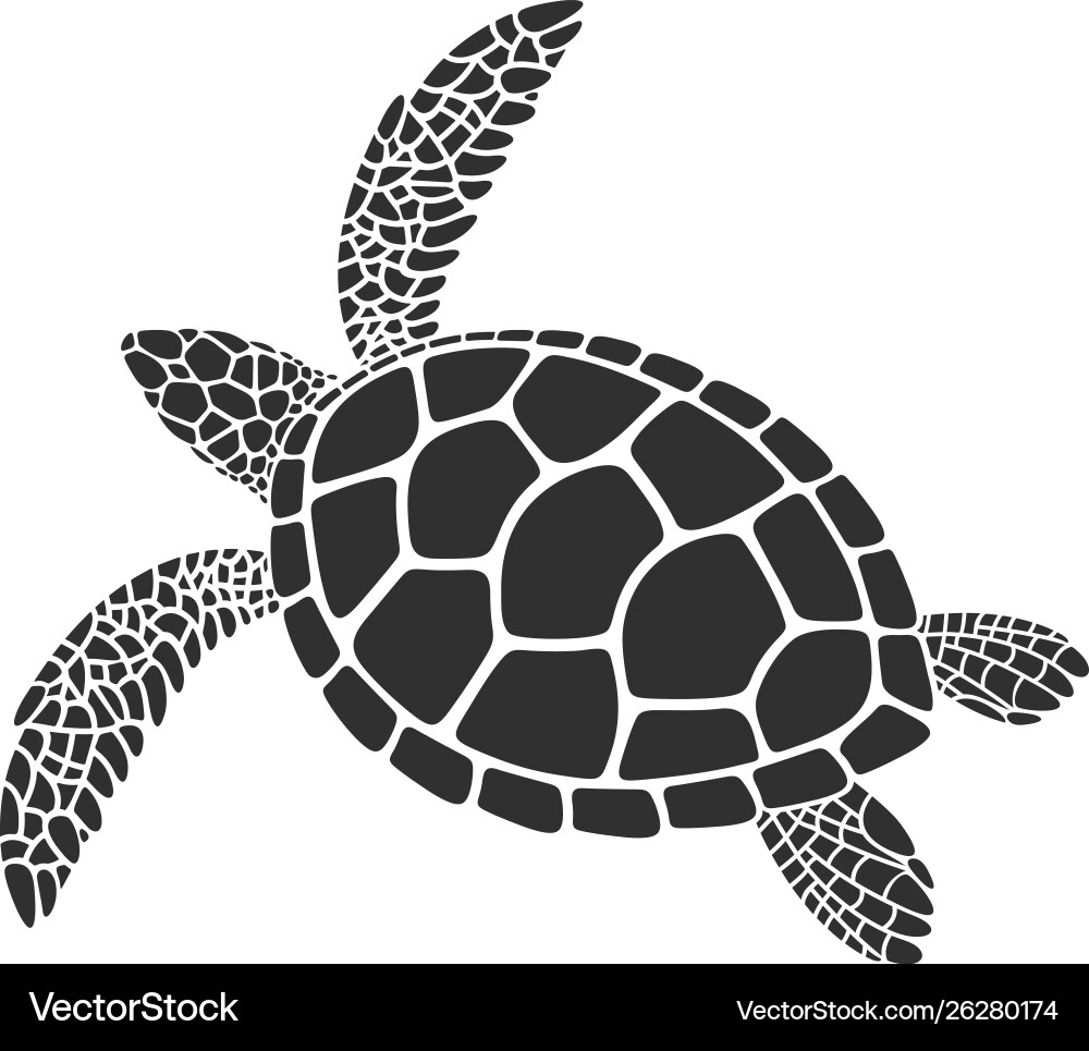 Sea turtle Royalty Free Vector Image - VectorStock