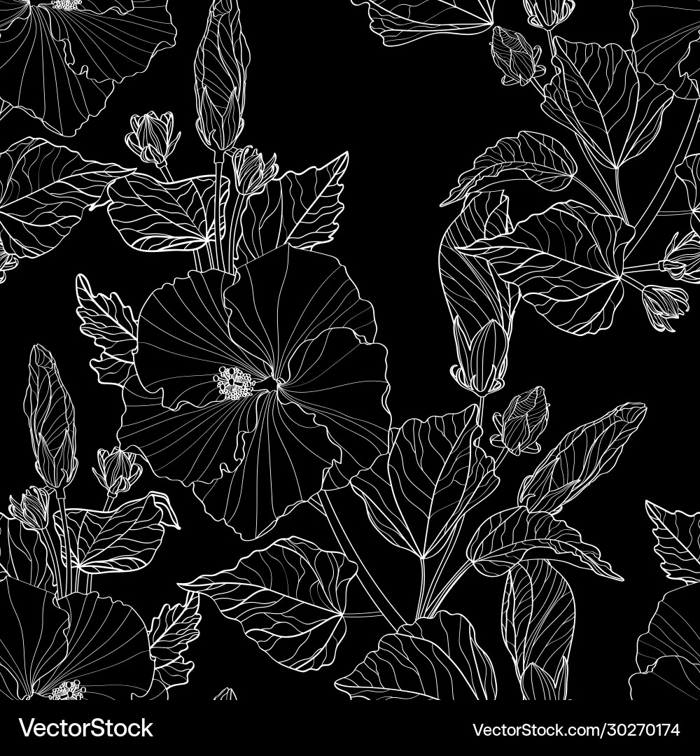 Seamless pattern white line hibiscus flowers Vector Image
