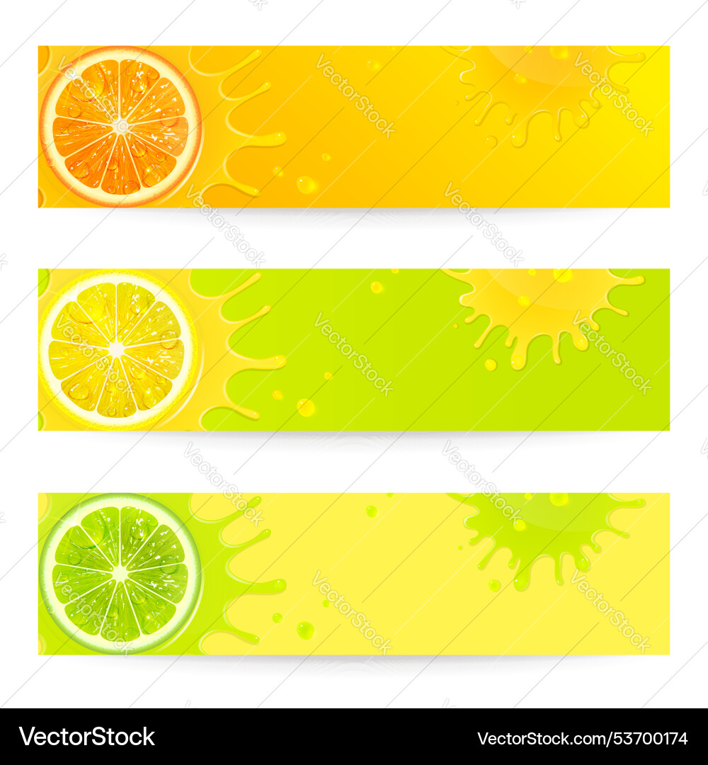 Set of bright banners with citrus fruits Vector Image