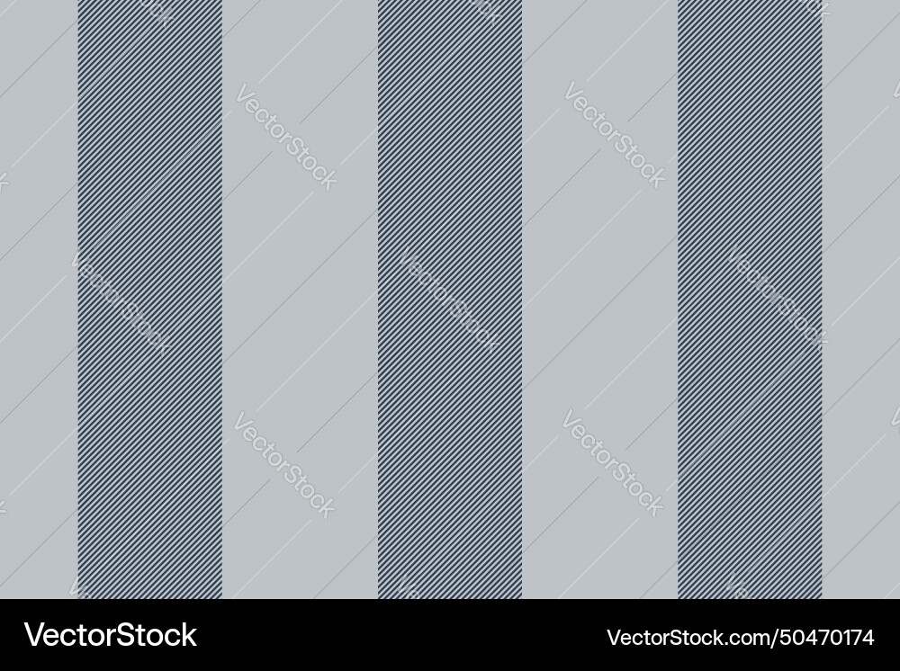 Veil textile vertical pattern list fabric stripe Vector Image