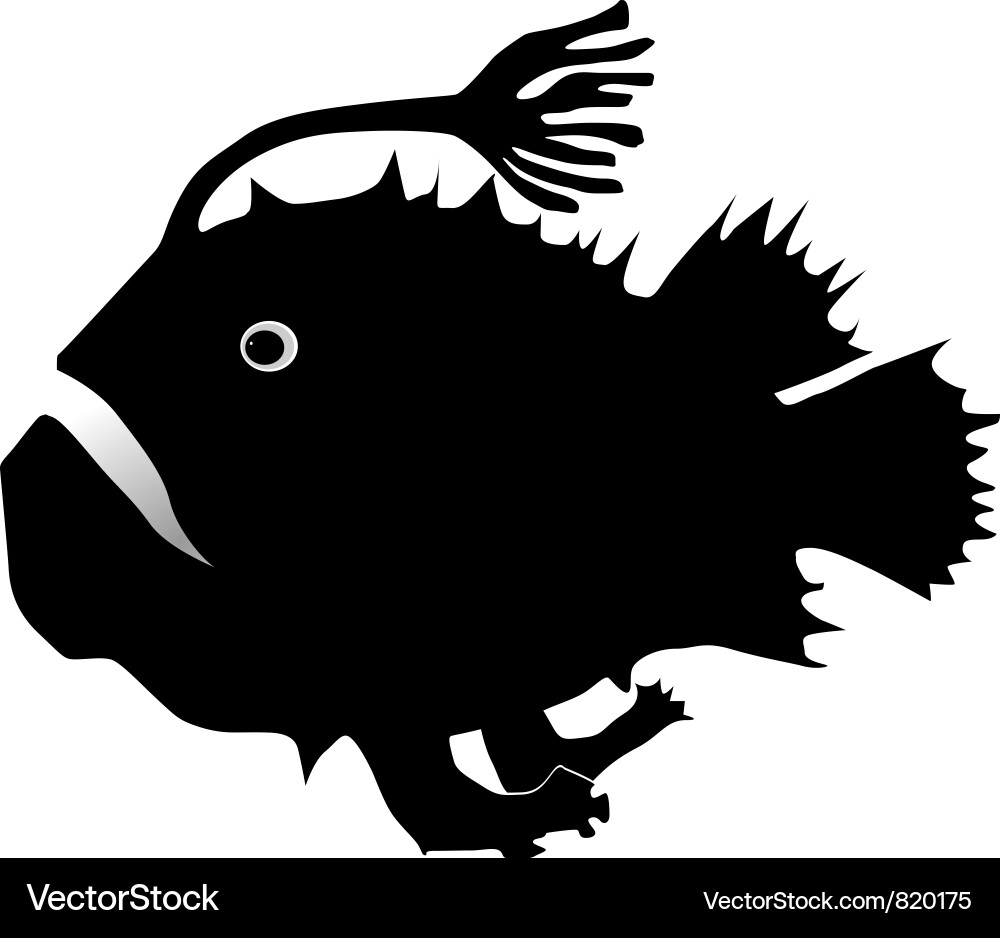 Anglerfish Royalty Free Vector Image - VectorStock