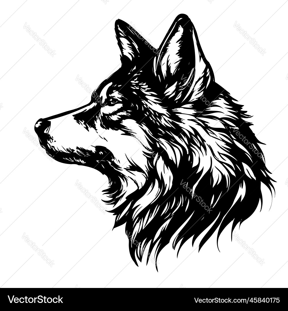 Animal wolf wildlife hand drawn Royalty Free Vector Image Animal wolf wildlife hand drawn Royalty Free Vector Image