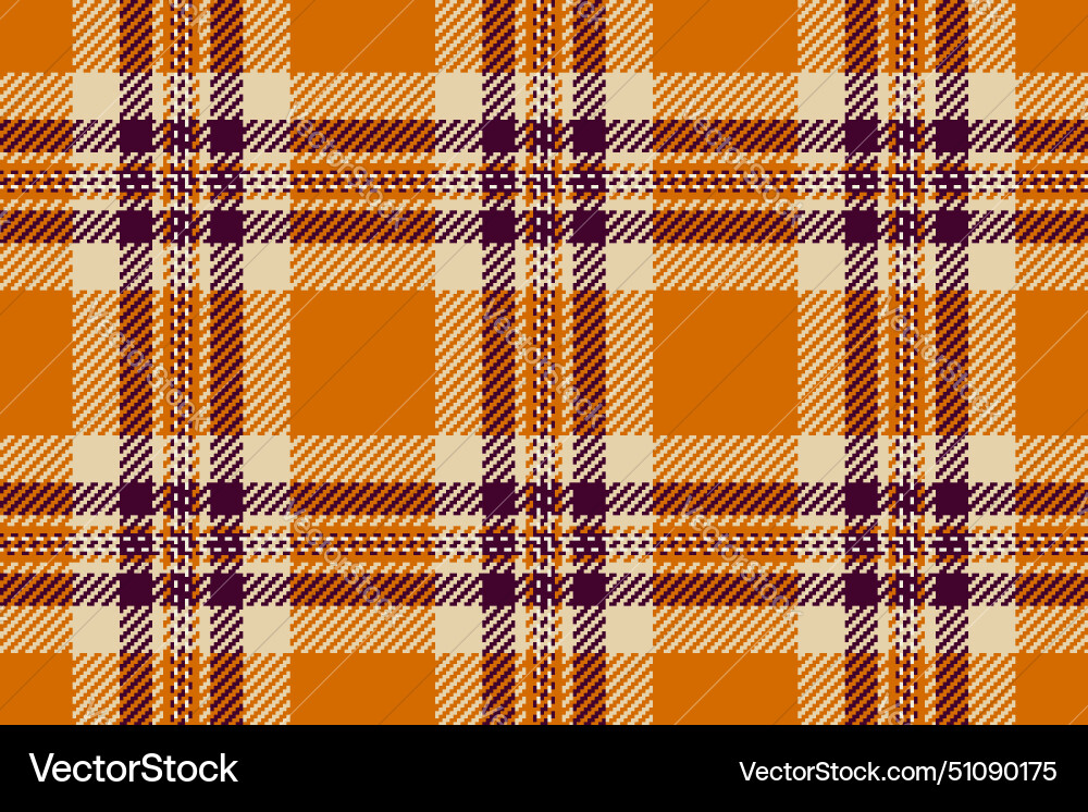 Background pattern tartan of check textile plaid Vector Image