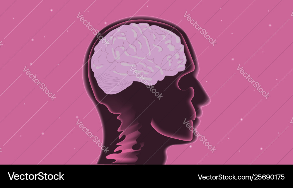 Brain Royalty Free Vector Image - VectorStock