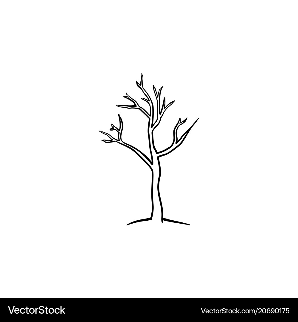 Dry tree hand drawn sketch icon Royalty Free Vector Image