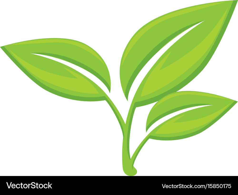 Stem with leaves icon Royalty Free Vector Image