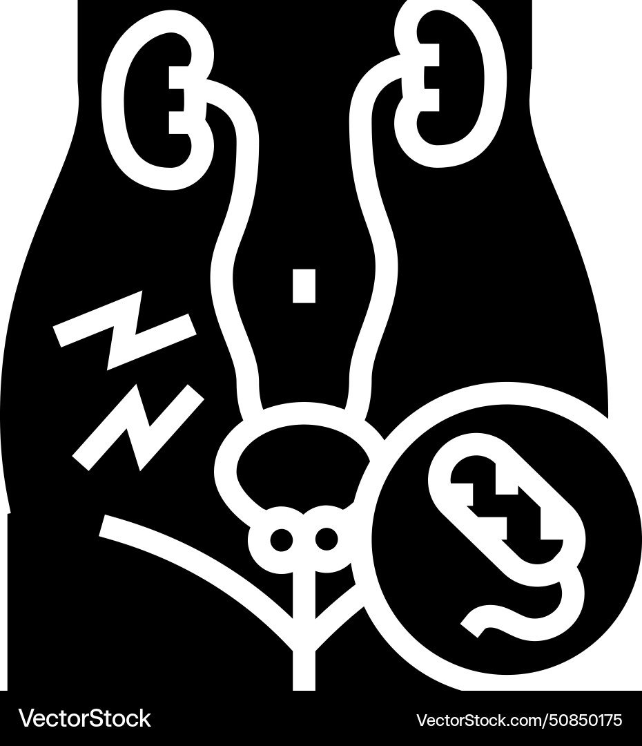 Urethritis urology glyph icon Royalty Free Vector Image