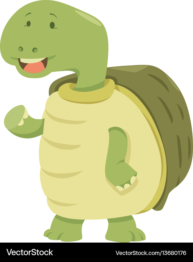 Cartoon turtle animal character Royalty Free Vector Image