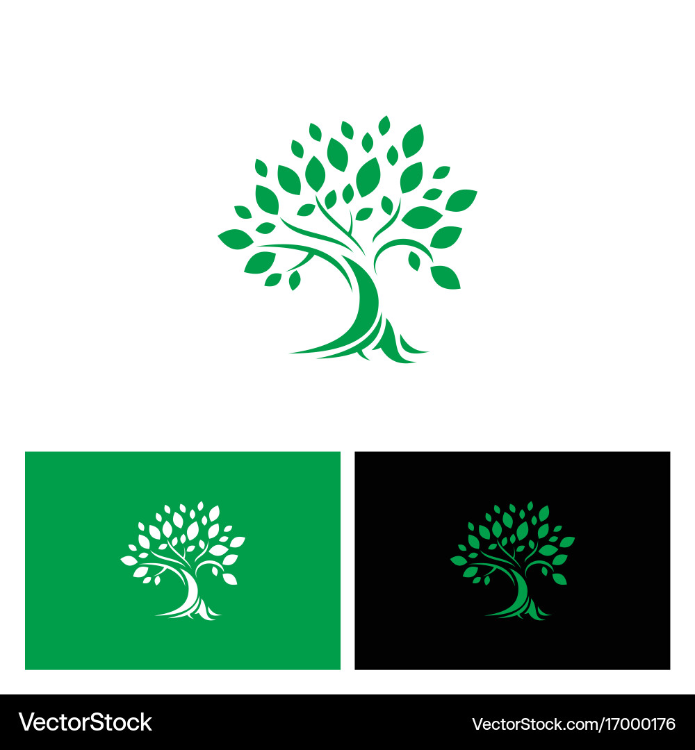 Green tree ecology botany logo Royalty Free Vector Image