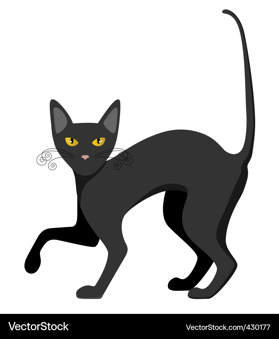 Cat Royalty Free Vector Image - VectorStock