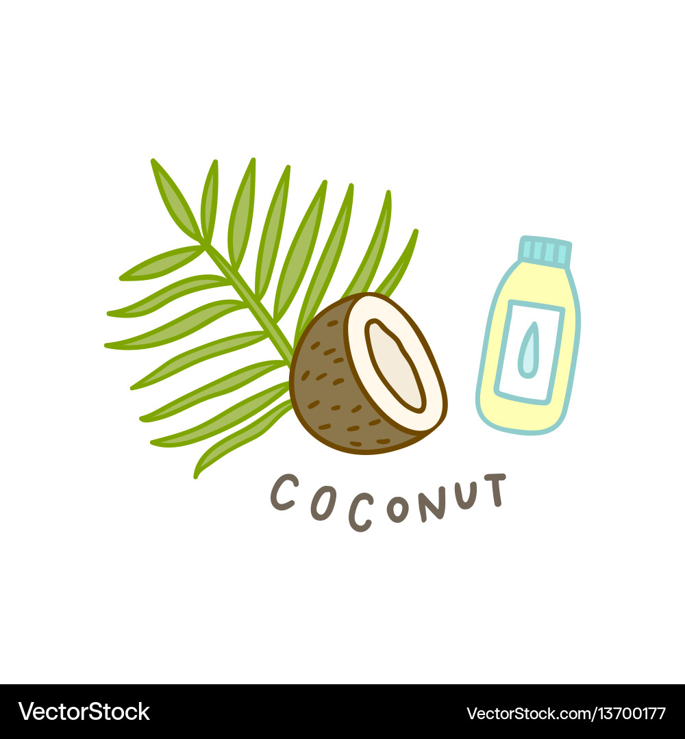 Coconut superfood isolated on white Royalty Free Vector