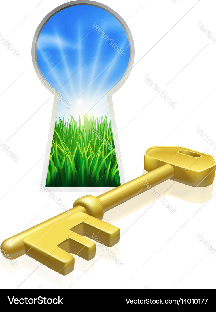 Key to freedom concept Royalty Free Vector Image