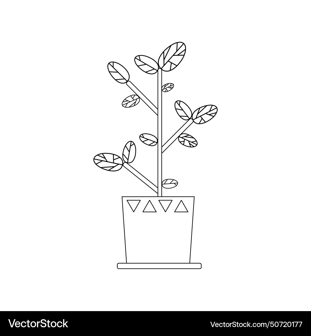 Outline plant in pot Royalty Free Vector Image