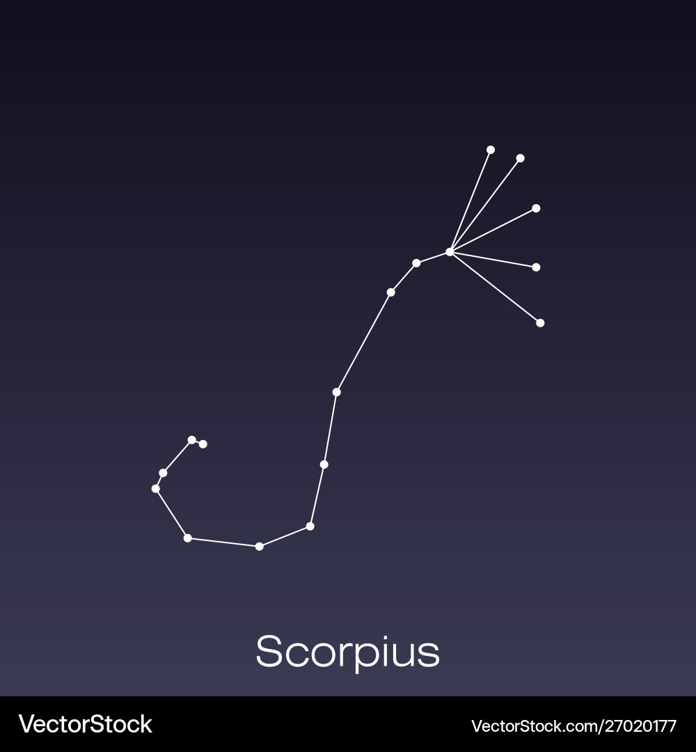 Scorpius Constellation - Night Sky Royalty Free Vector Image