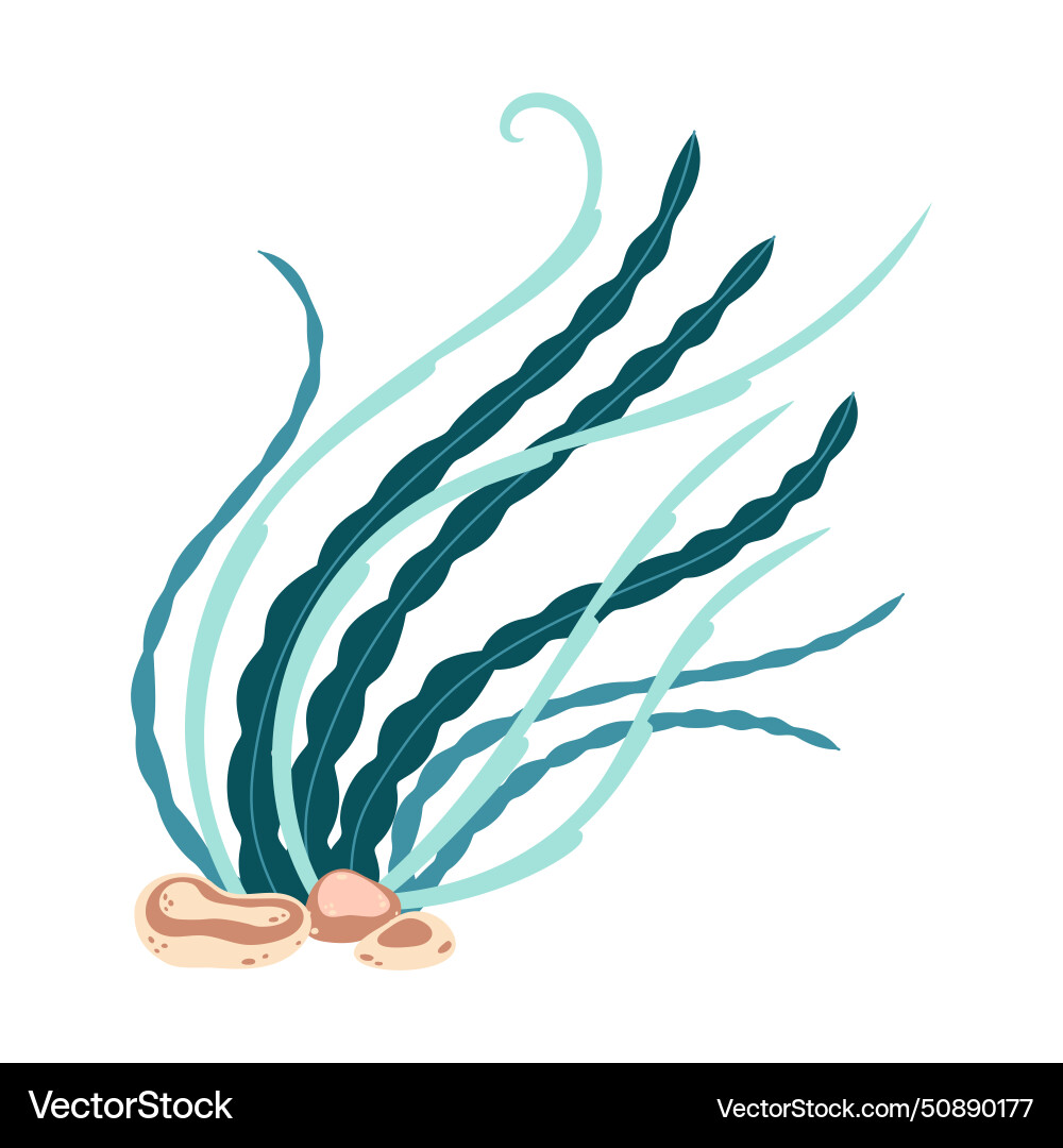 Seaweed hand drawn algae colorful modern Vector Image