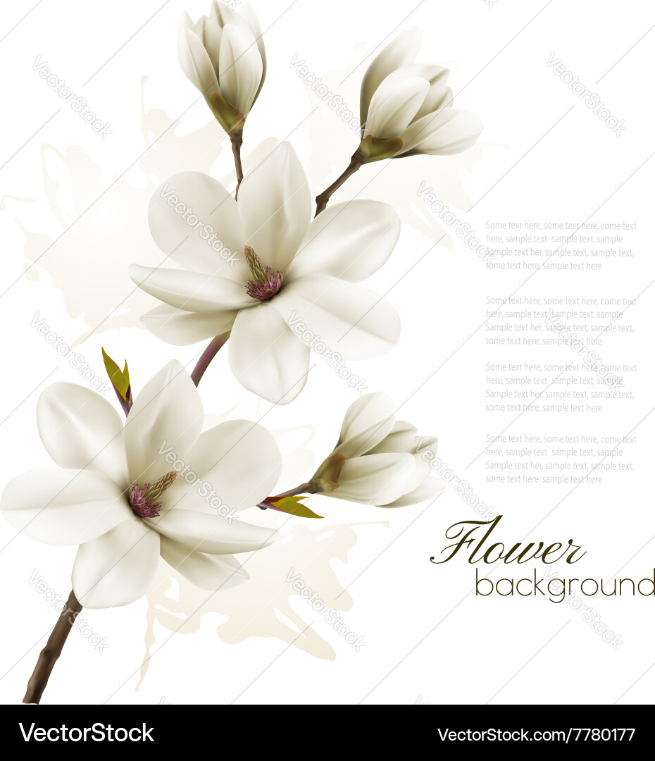 Spring background with blossom brunch of white Vector Image