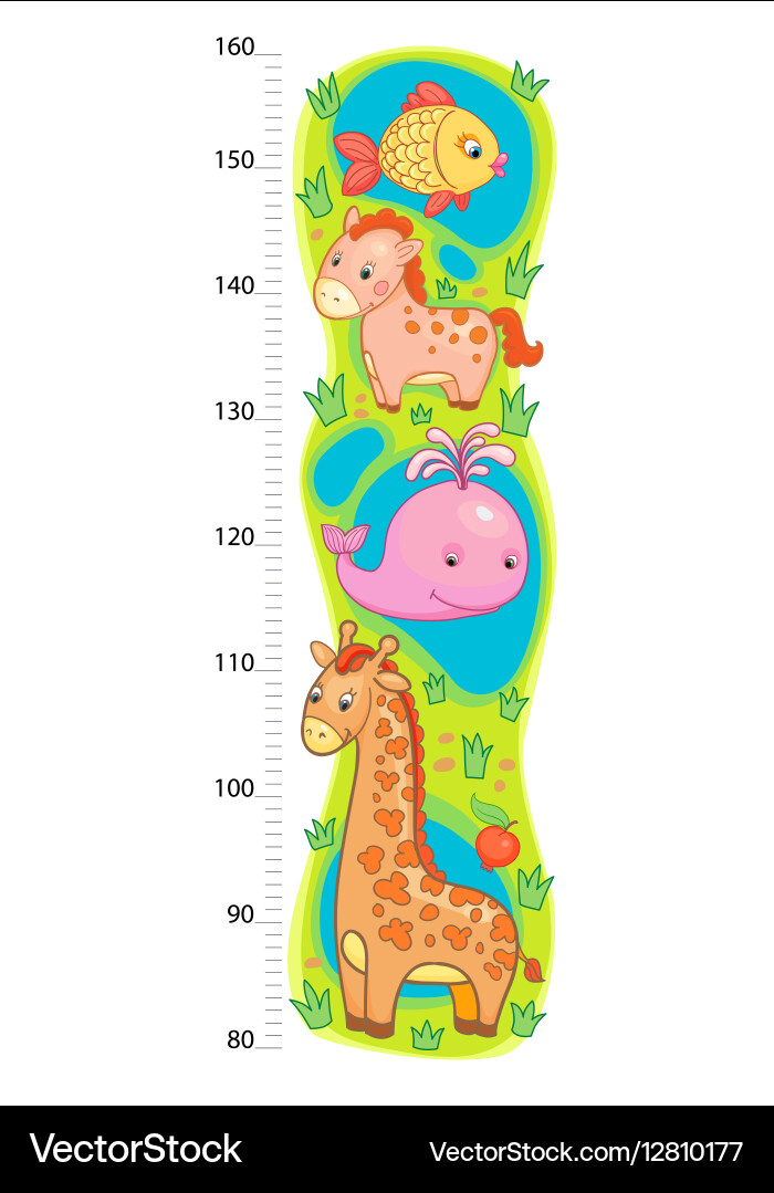 Stadiometer wall or height meter from 80 to 160 Vector Image