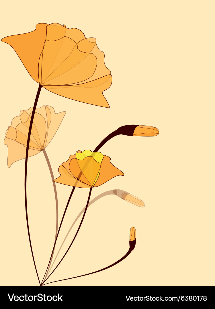 Floral background with flowers Royalty Free Vector Image