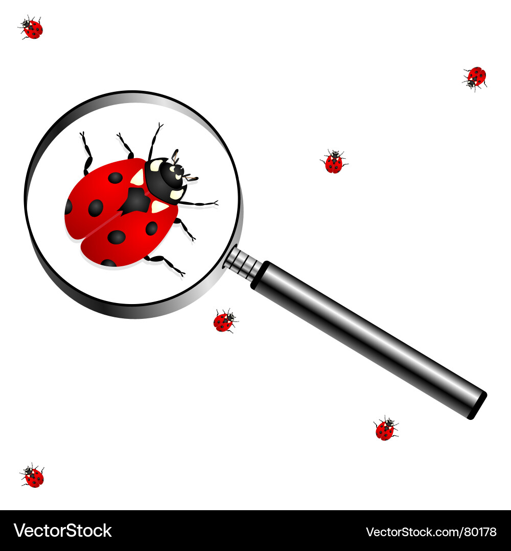 Magnifying glass with lady bugs Royalty Free Vector Image