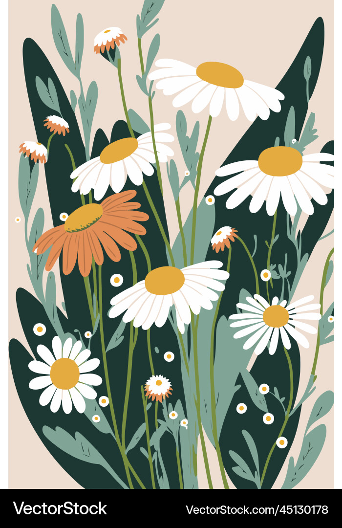 White chamomile flowers nature background Vector Image