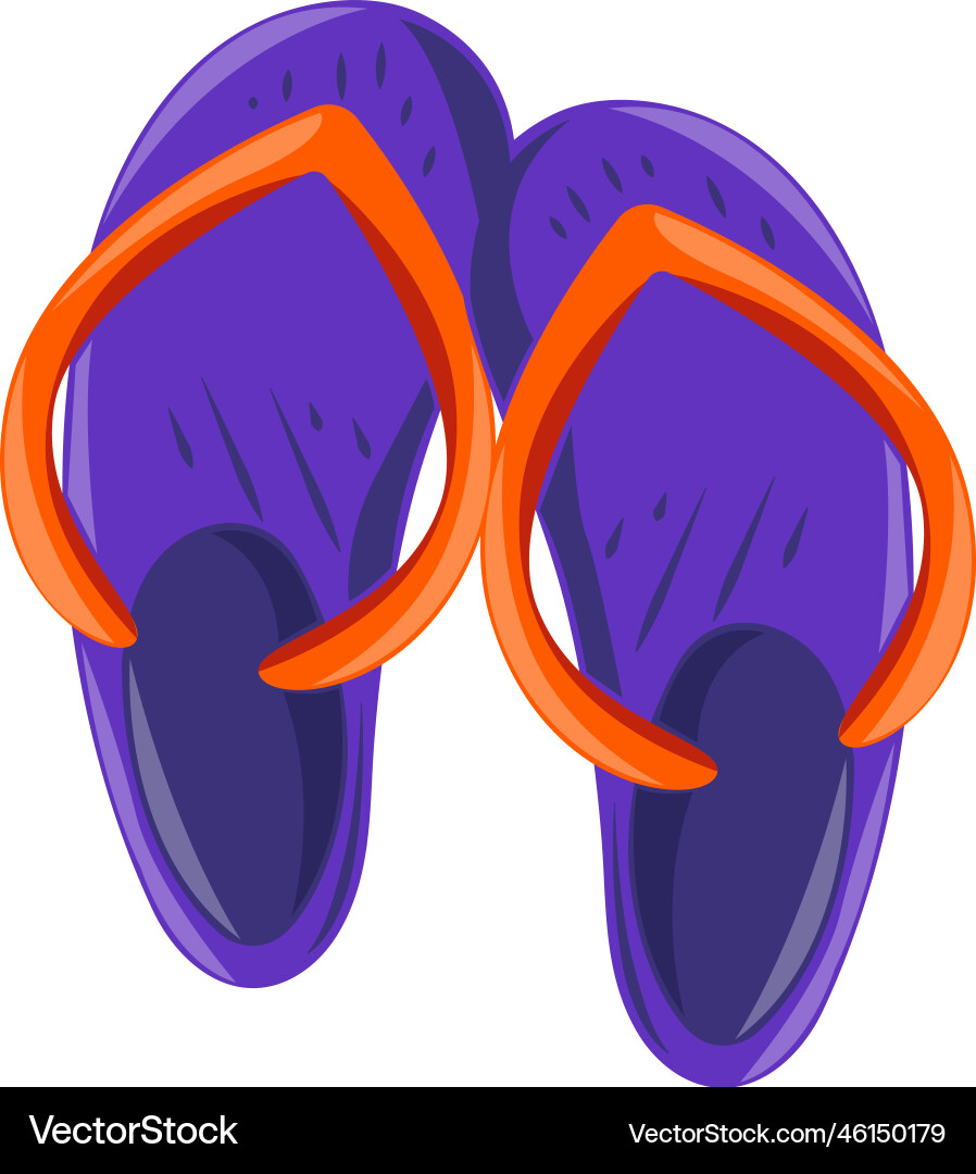 Flip flops icon Royalty Free Vector Image - VectorStock