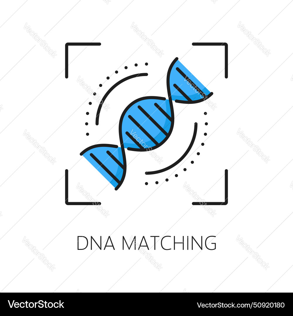 Dna matching biometric identification recognition Vector Image