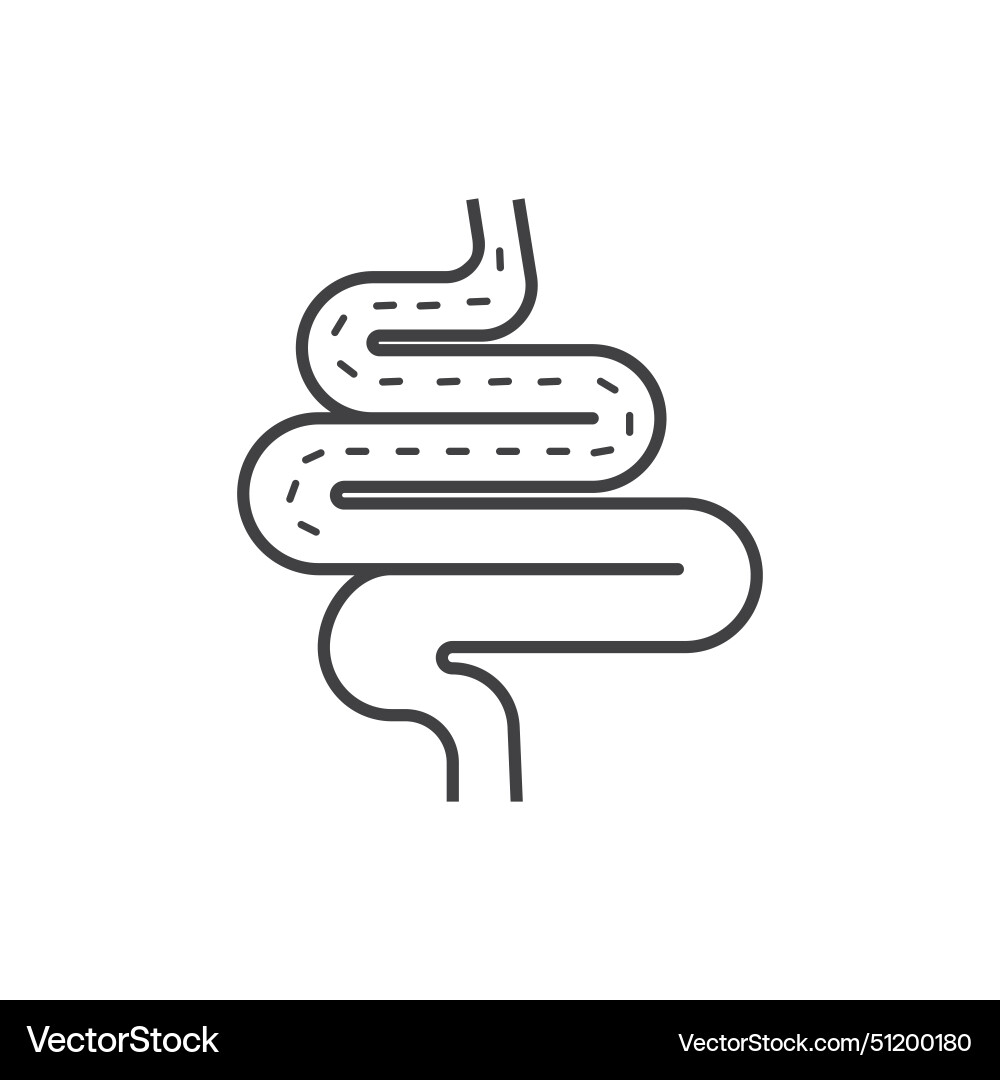 Intestine colon icon flat design Royalty Free Vector Image