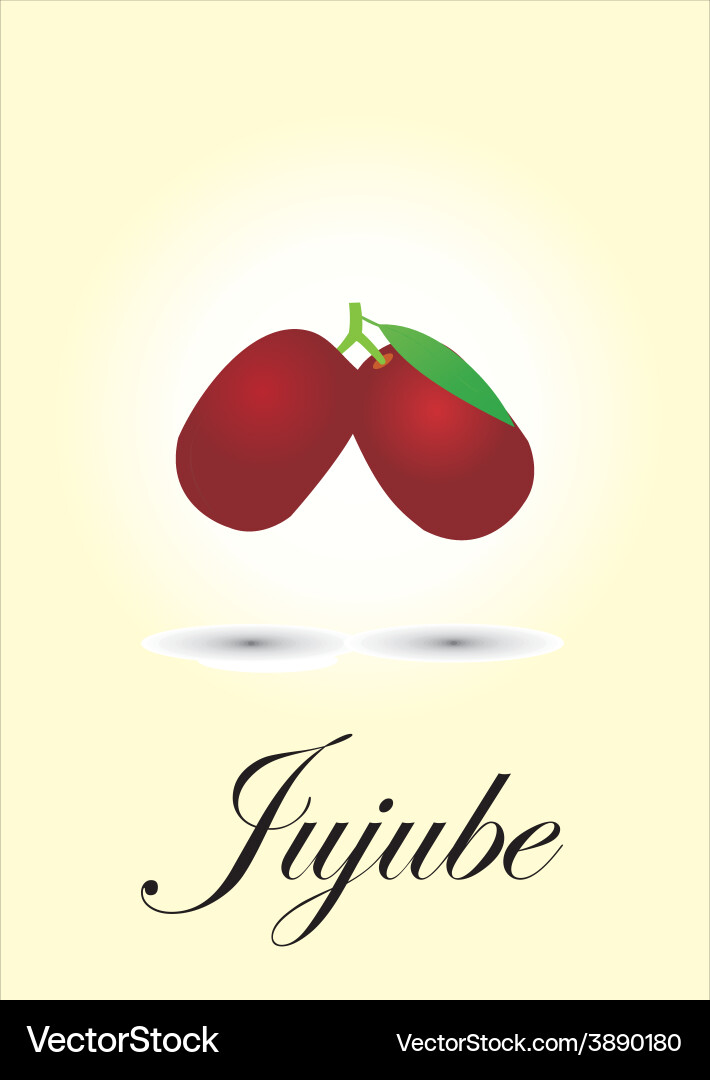 Jujube Royalty Free Vector Image - VectorStock