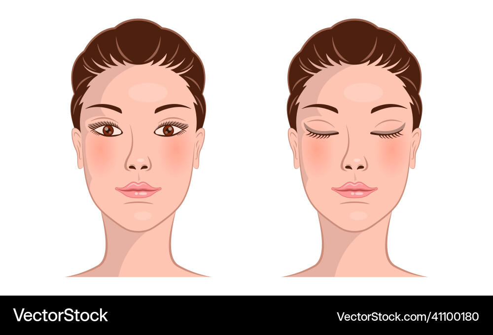 Woman face front view open closed eyes Royalty Free Vector