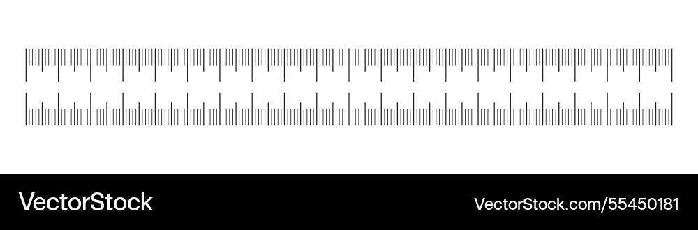 Charts with 20 centimeters metric rulers Vector Image