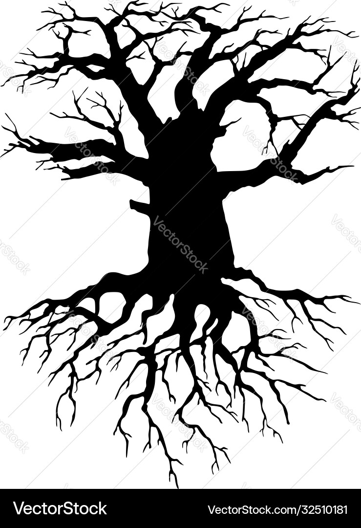 Dead Tree Silhouette With Roots