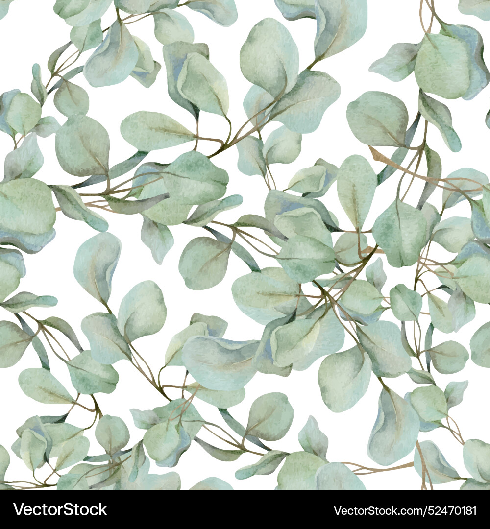 Eucalyptus laurel branches leaves with red Vector Image