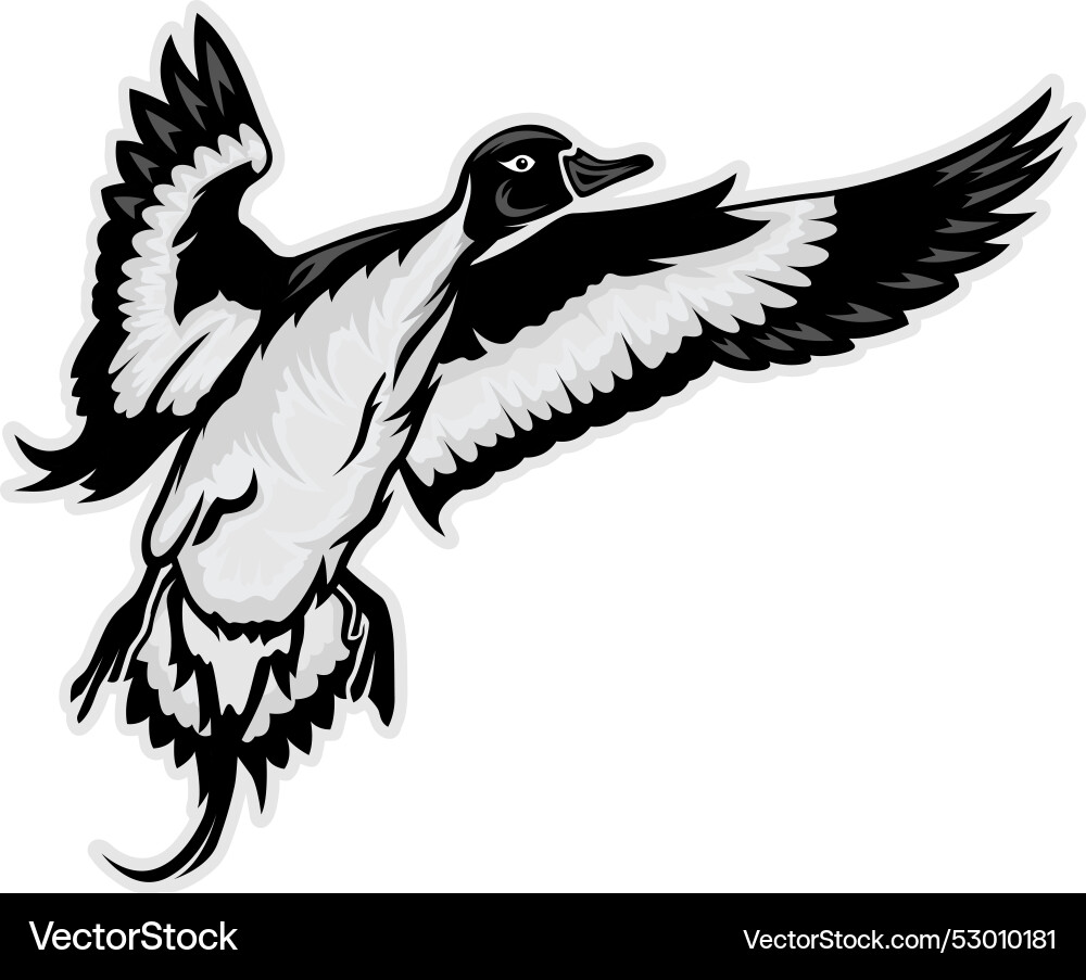 Pintail duck hunting logo imag Royalty Free Vector Image