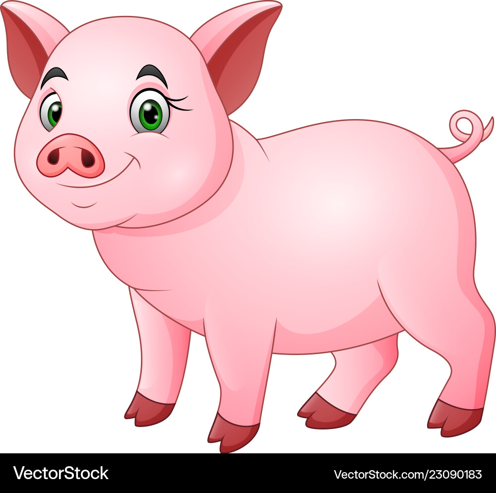Cute pig cartoon Royalty Free Vector Image - VectorStock