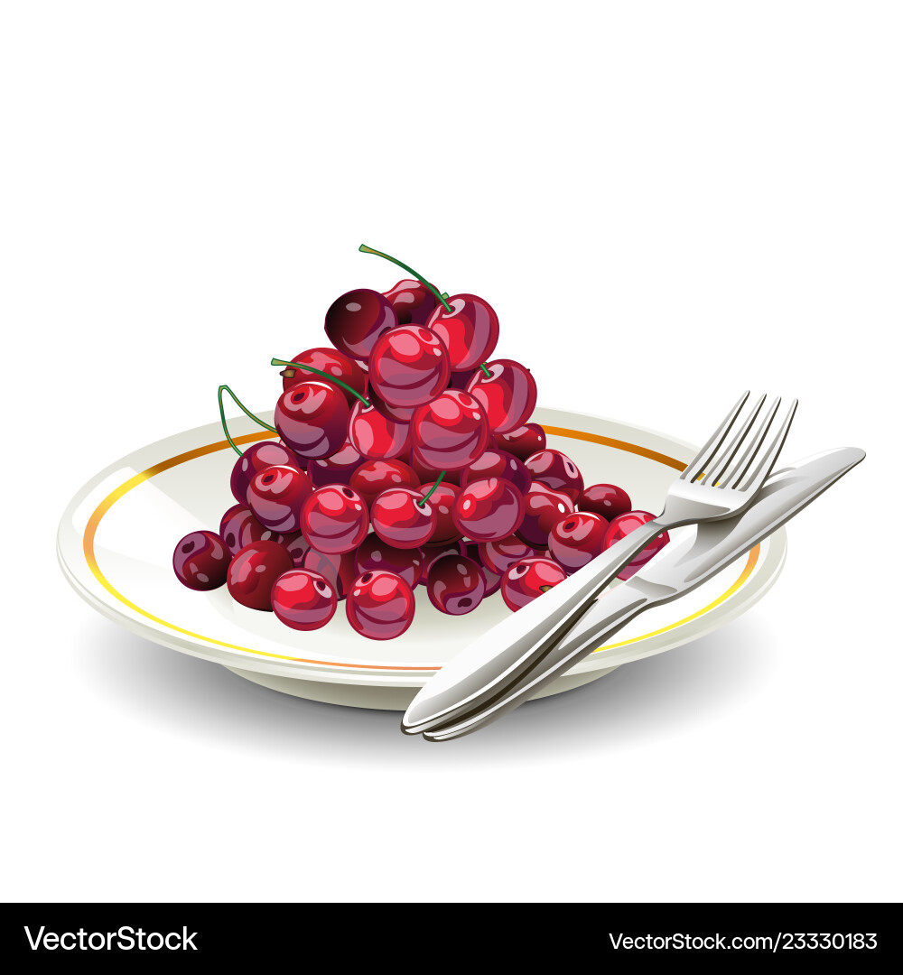 Dish 05 Royalty Free Vector Image - VectorStock