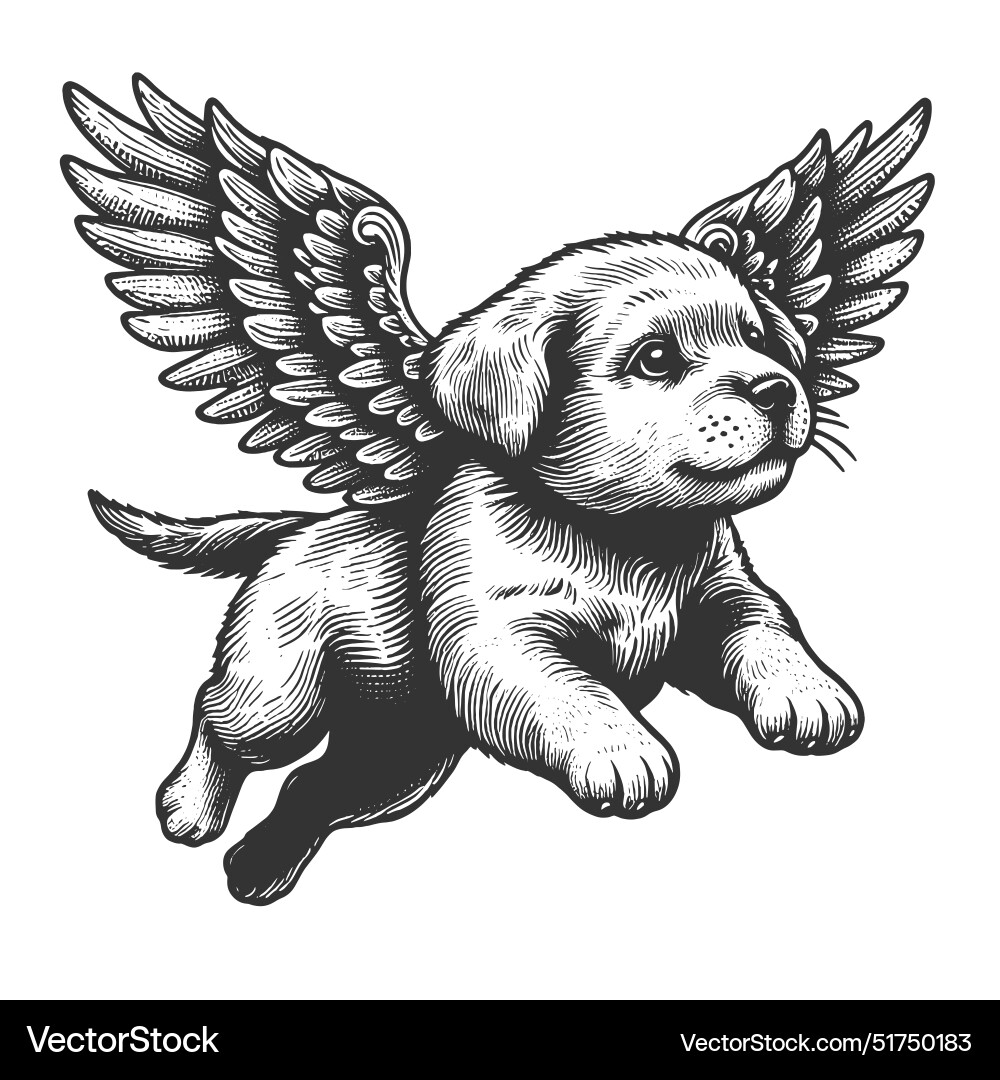 Flying puppy with angel wings engraving Royalty Free Vector