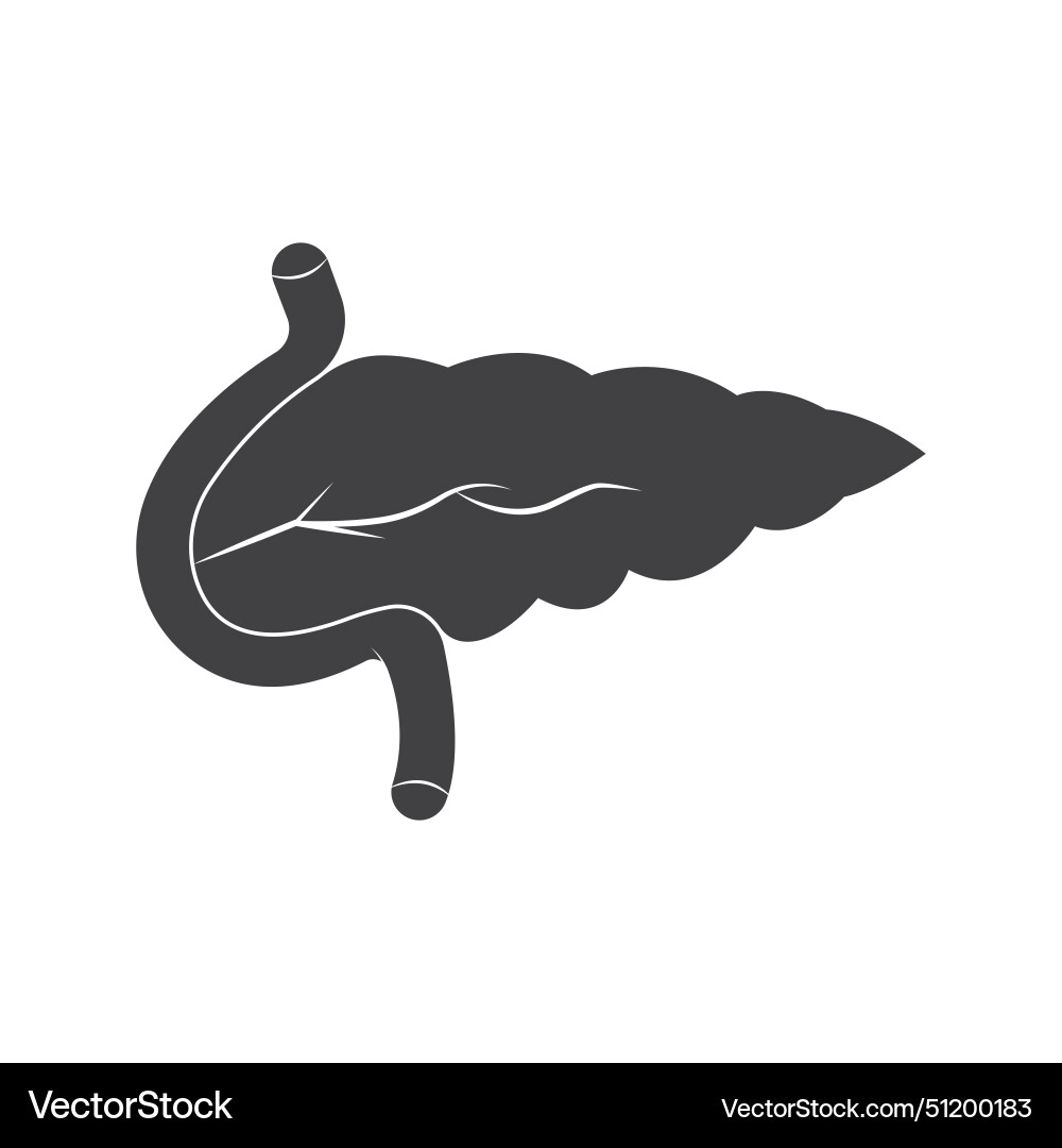 Pancreas icon Royalty Free Vector Image - VectorStock