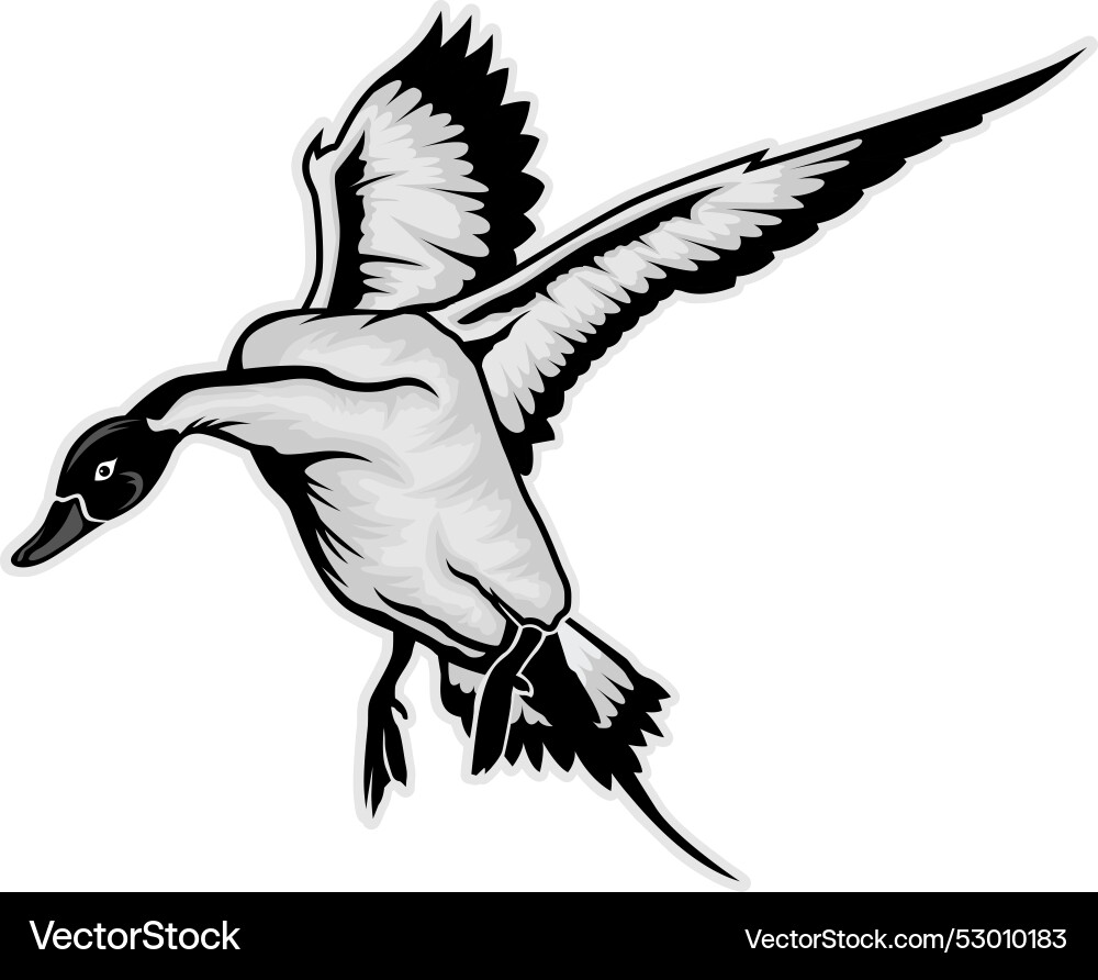 Pintail duck hunting logo imag Royalty Free Vector Image