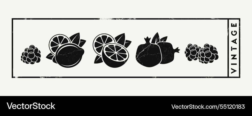 Vintage style fruit with grunge texture Royalty Free Vector