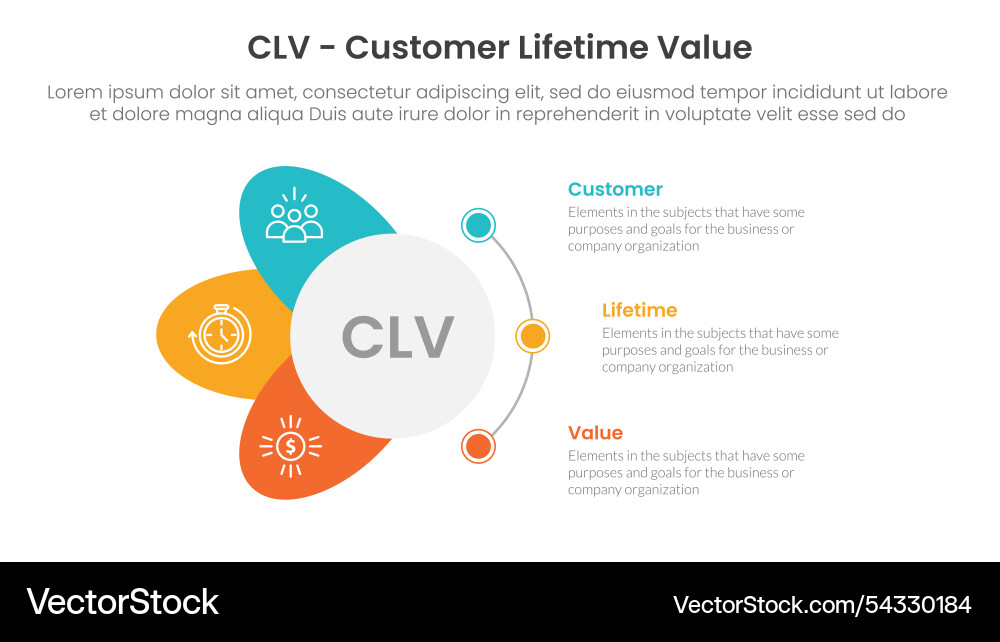 Clv customer lifetime value infographic 3 point Vector Image