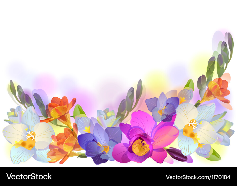 Horizontal background with gentle freesia flowers Vector Image