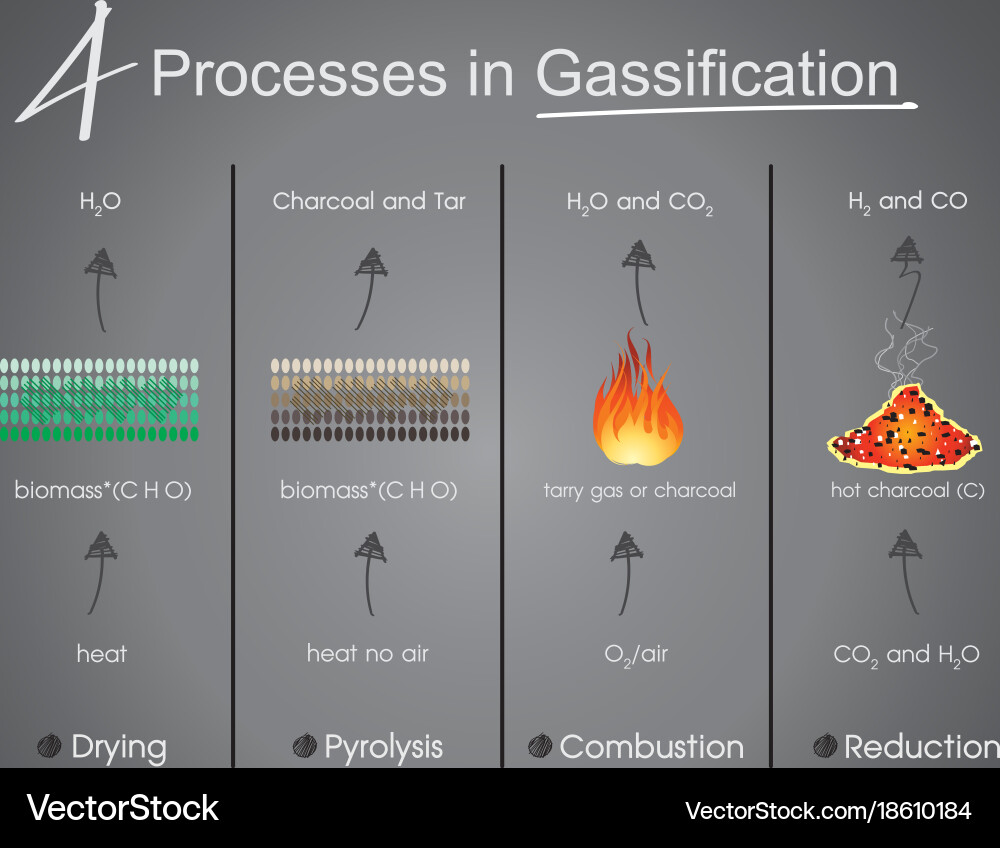Processes in gasification drying pyrolysis Vector Image