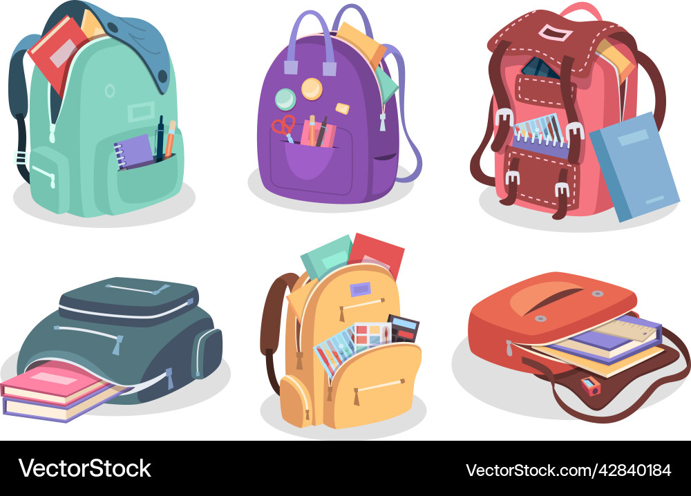 School backpack packages and containers Royalty Free Vector