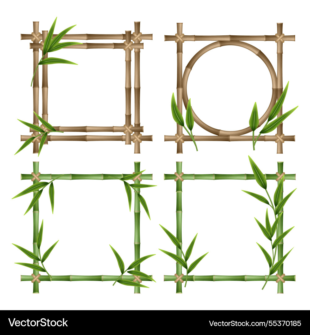 Bamboo frames set Royalty Free Vector Image - VectorStock