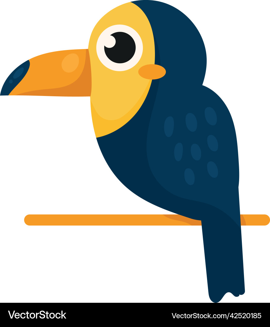 Exotic toucan bird Royalty Free Vector Image - VectorStock