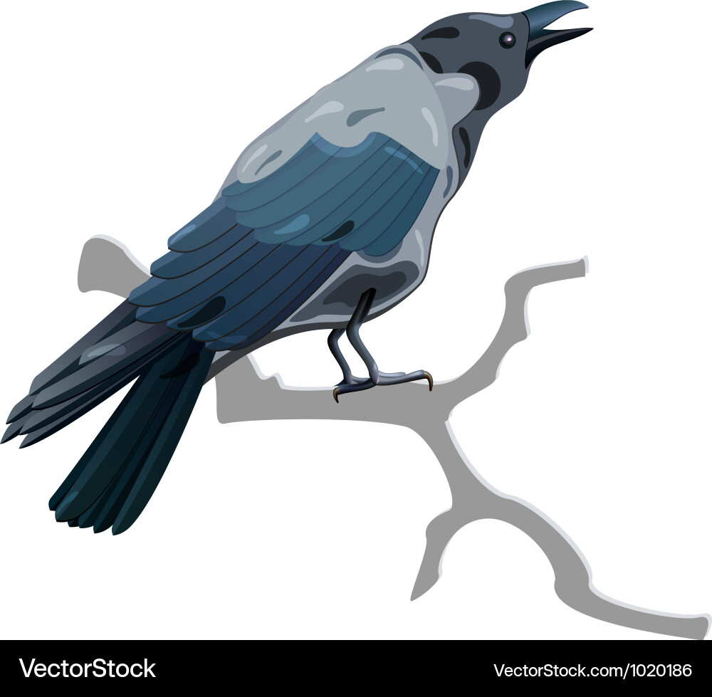 Grey crow Royalty Free Vector Image - VectorStock