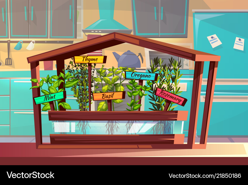 Kitchen garden spices or herbs Royalty Free Vector Image