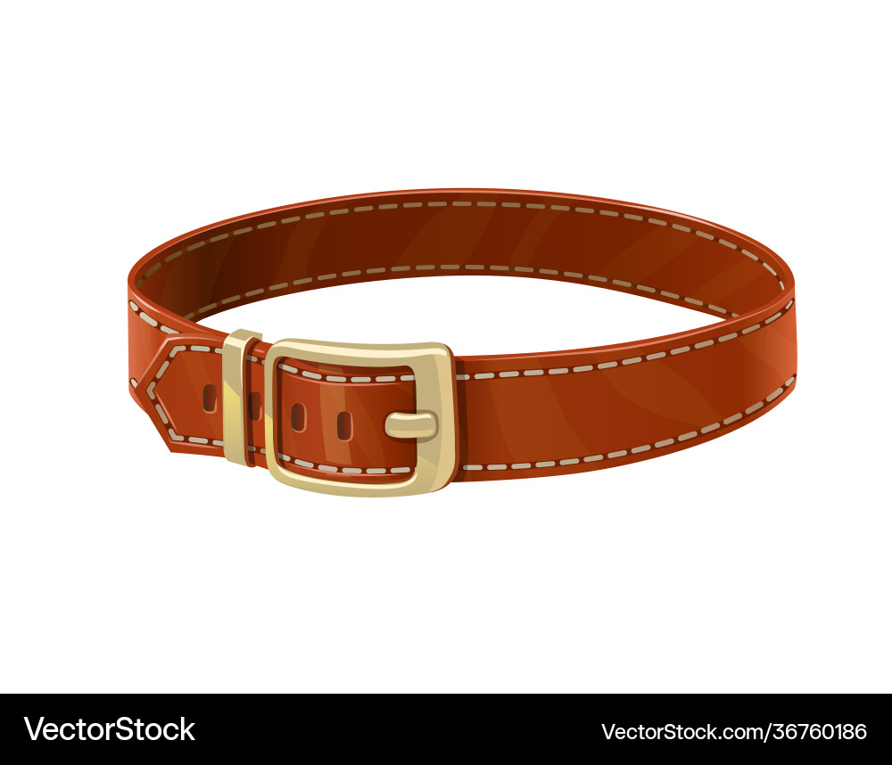 Leather belt clothes Royalty Free Vector Image