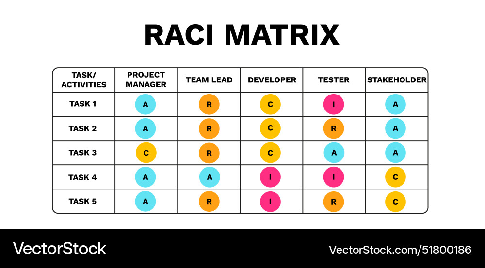 Raci matrix management with accountable Royalty Free Vector